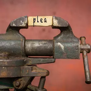Negotiating A Plea Deal In Marin County | Law Offices of Aaron Bortel